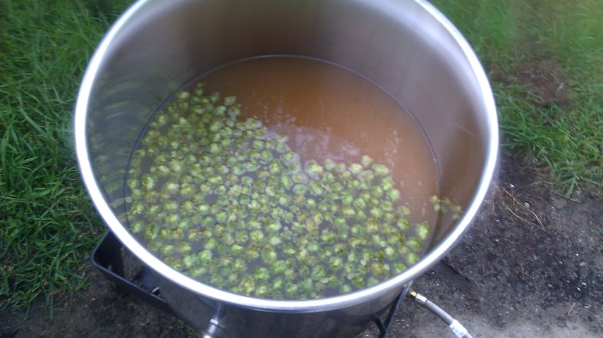 First wort hopping
